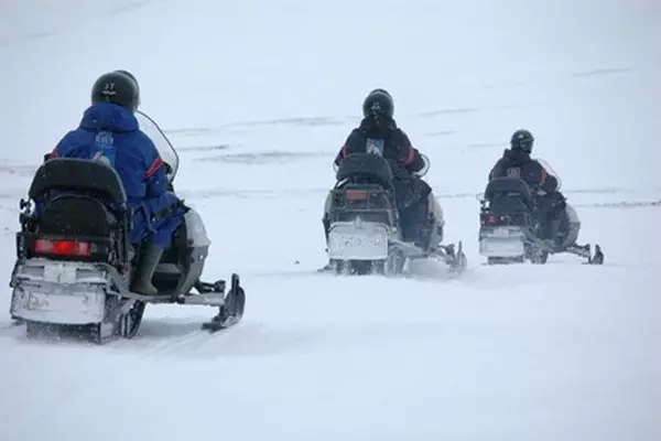 Motorspezifikationen Yamaha 340 Schneemobil