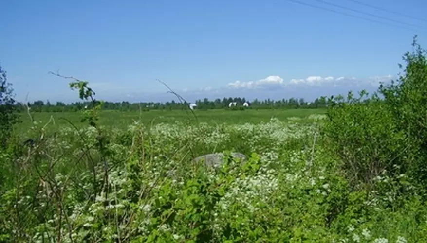 setšoantšo sa sengoloa sa itstillruns