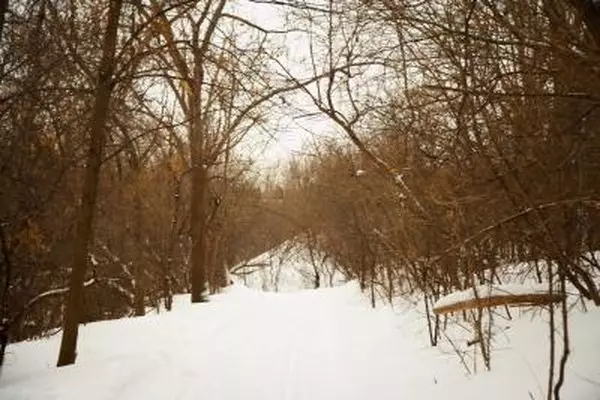 ווי צו טראָובלעשאָאָט די 4-ראָד דרייוו אויף אַ Ford F-350 4X4